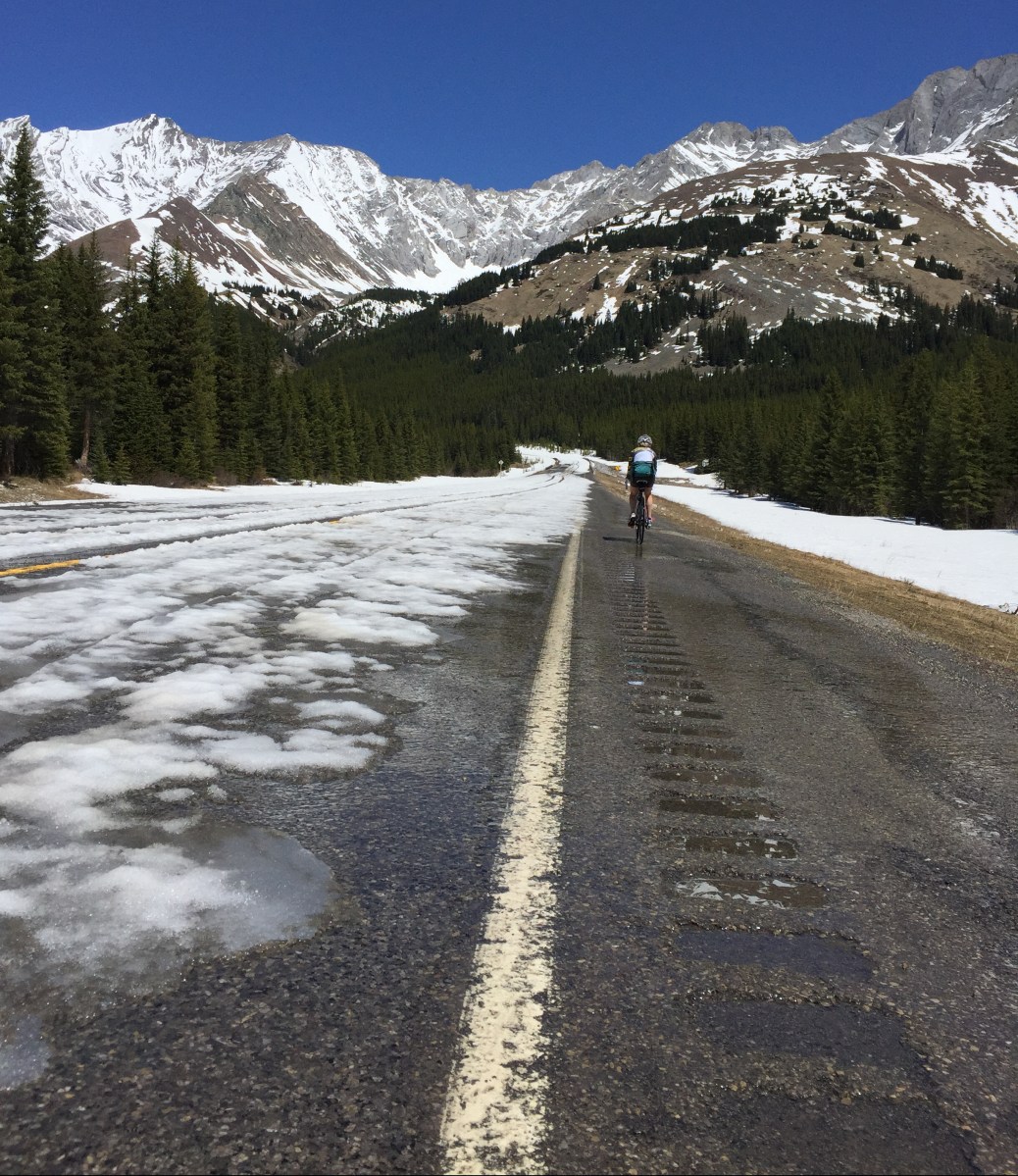 Welcome to Cycle Alberta! – Cycle Alberta