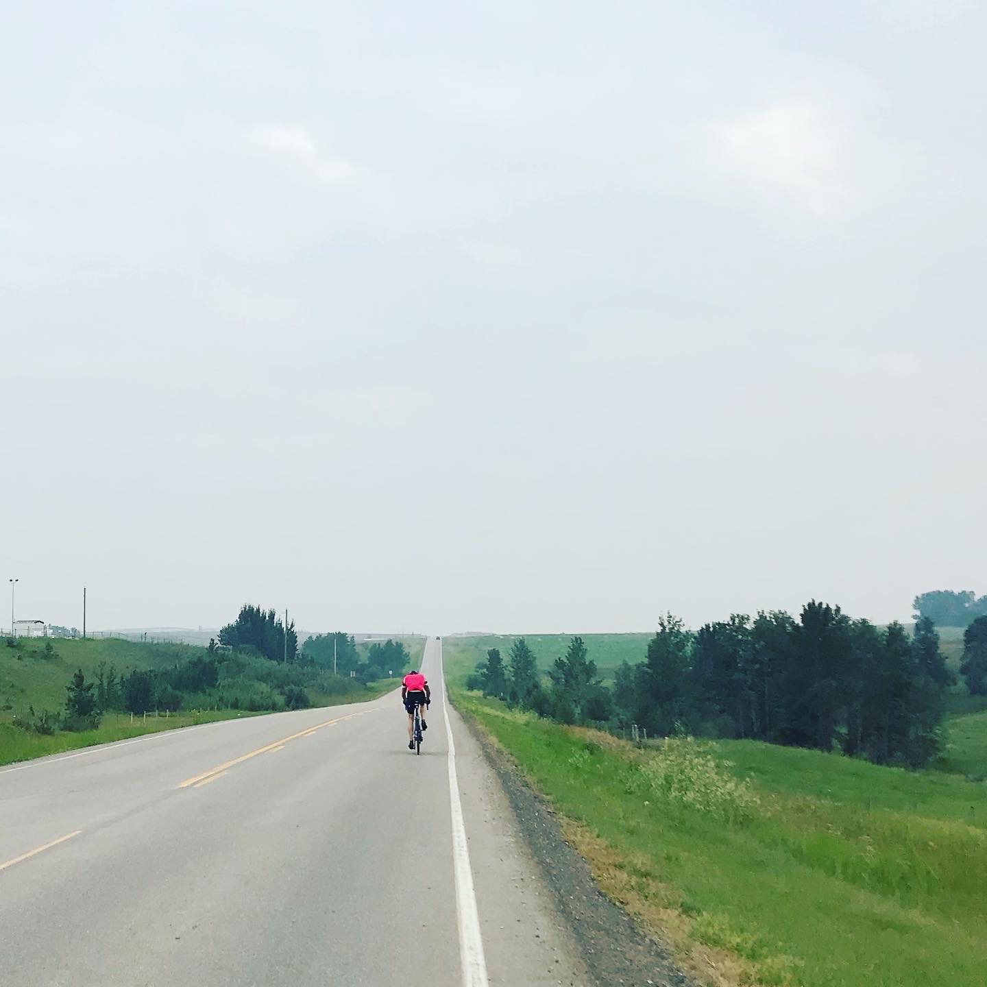 Goldenrod, Madden, Dog Pound Panhandle – Cycle Alberta
